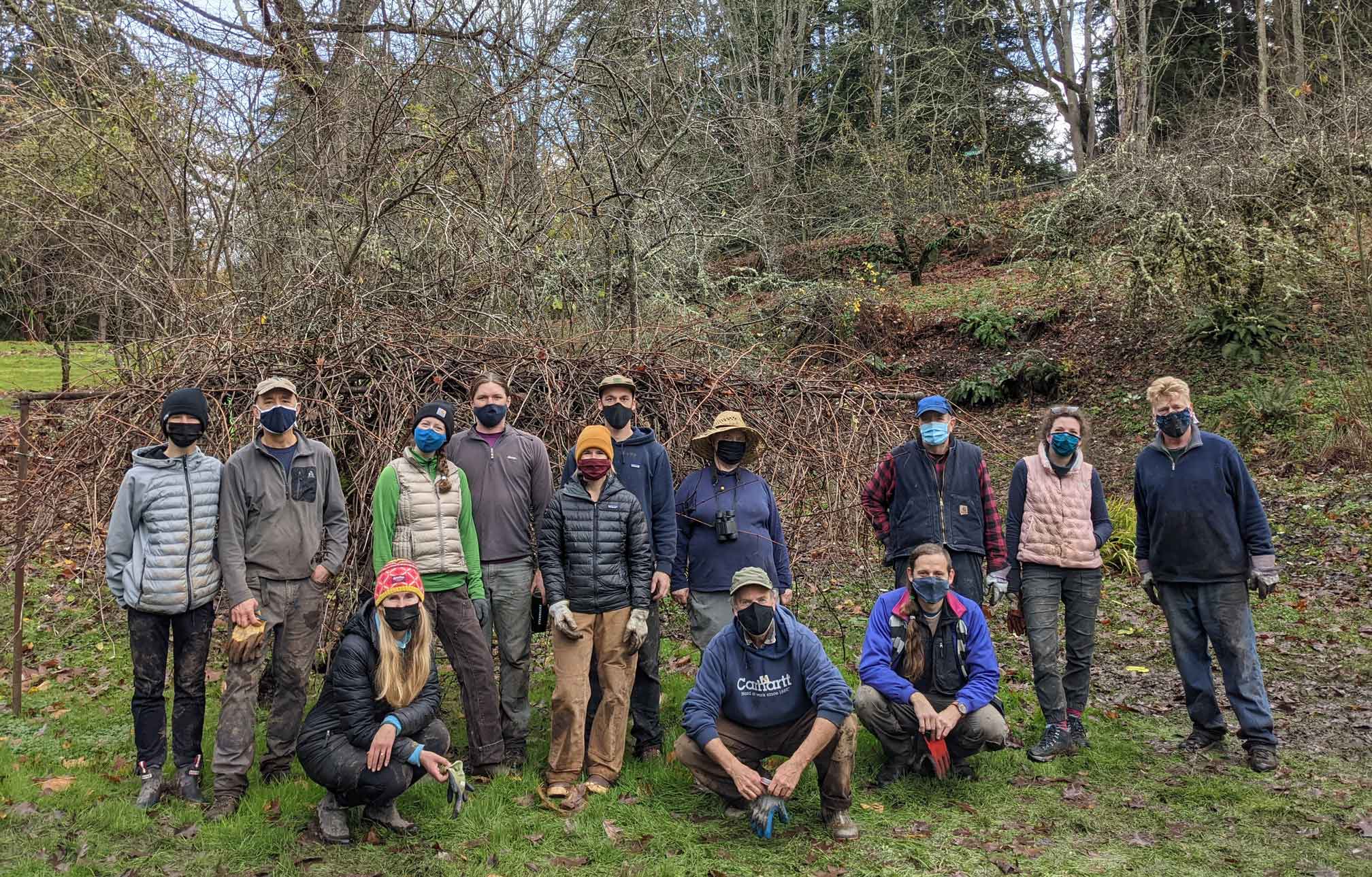 Exciting Tree Projects | Whatcom Million Trees Project