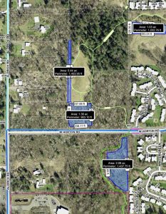 Exciting Tree Projects by Whatcom Million Trees Project