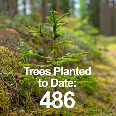 Exciting Tree Projects by Whatcom Million Trees Project
