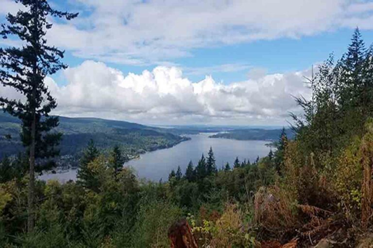 The Exciting Whatcom Million Trees Project | Home