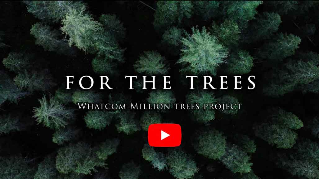 The Exciting Whatcom Million Trees Project | Home