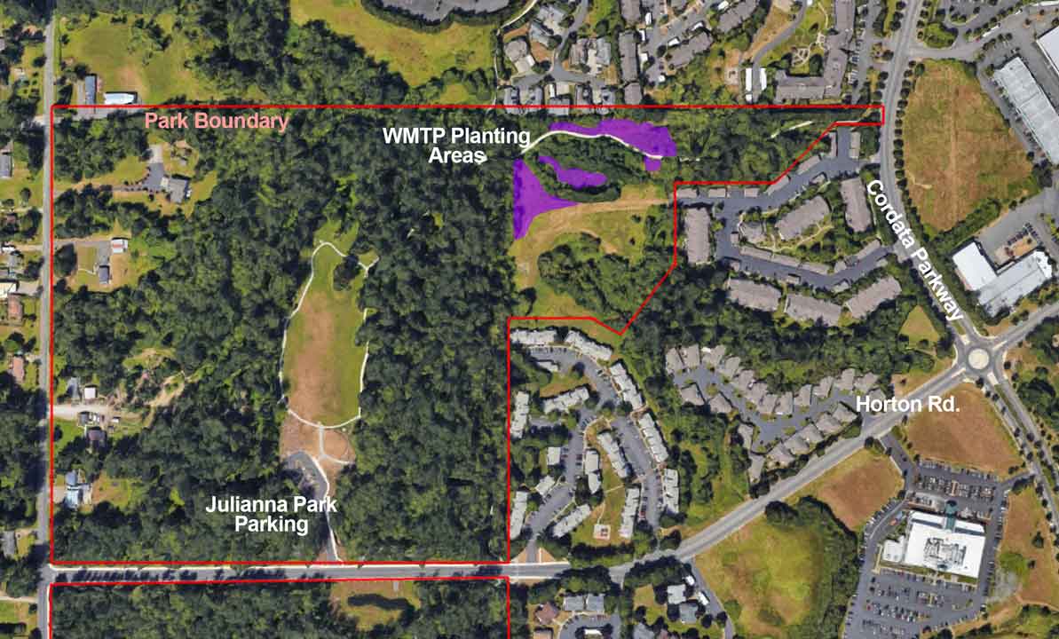 Bellingham Parks Tree Plantings by WMTP | Whatcom Million Trees Project
