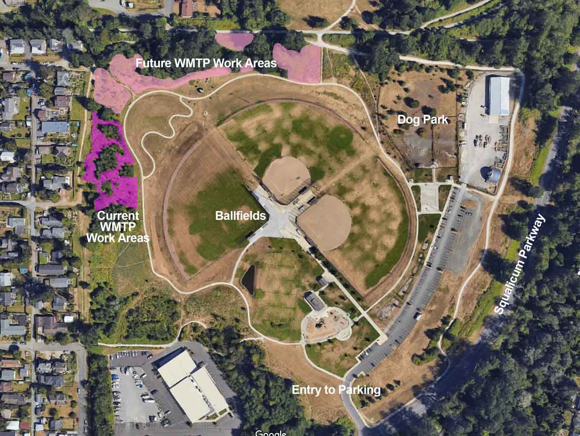 Bellingham Parks Tree Plantings by WMTP | Whatcom Million Trees Project