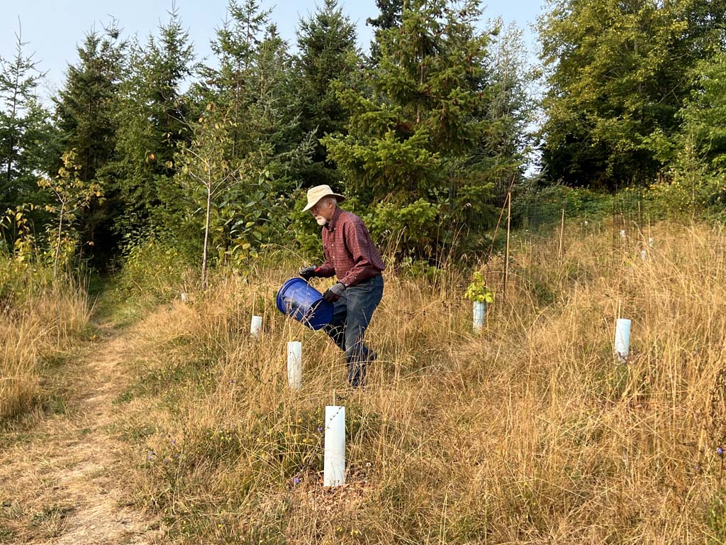 Work Party Volunteering | Whatcom Million Trees Project