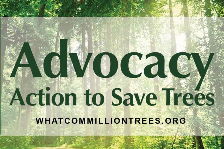 The Exciting Whatcom Million Trees Project | Home