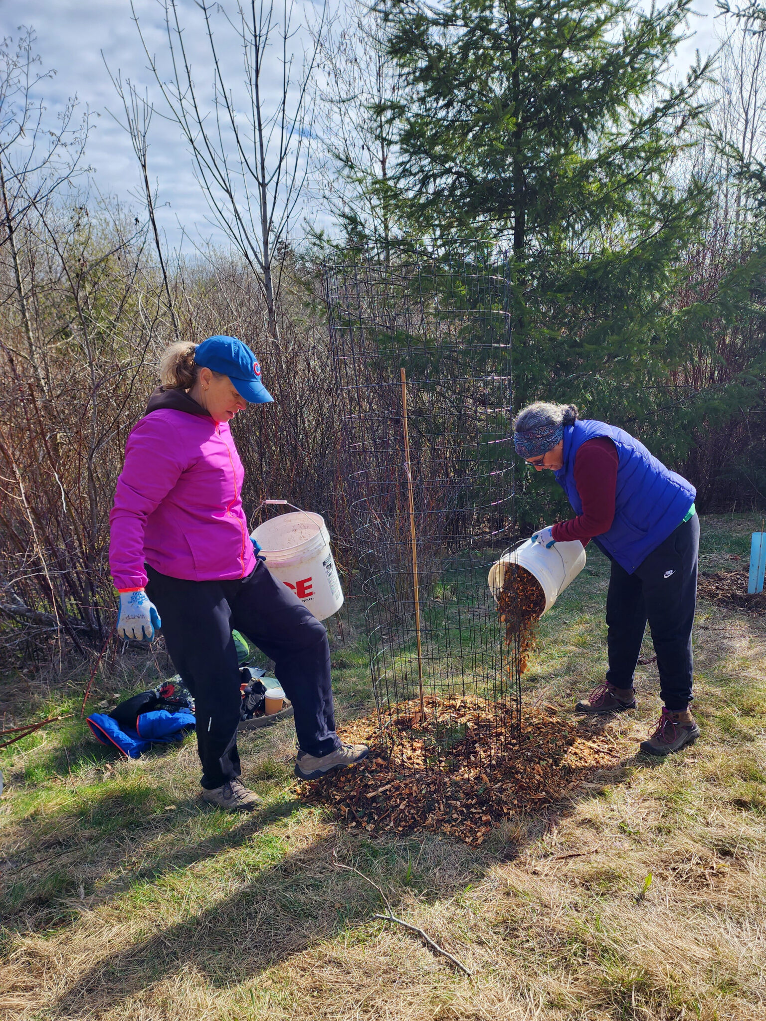 Work Party Volunteering | Whatcom Million Trees Project