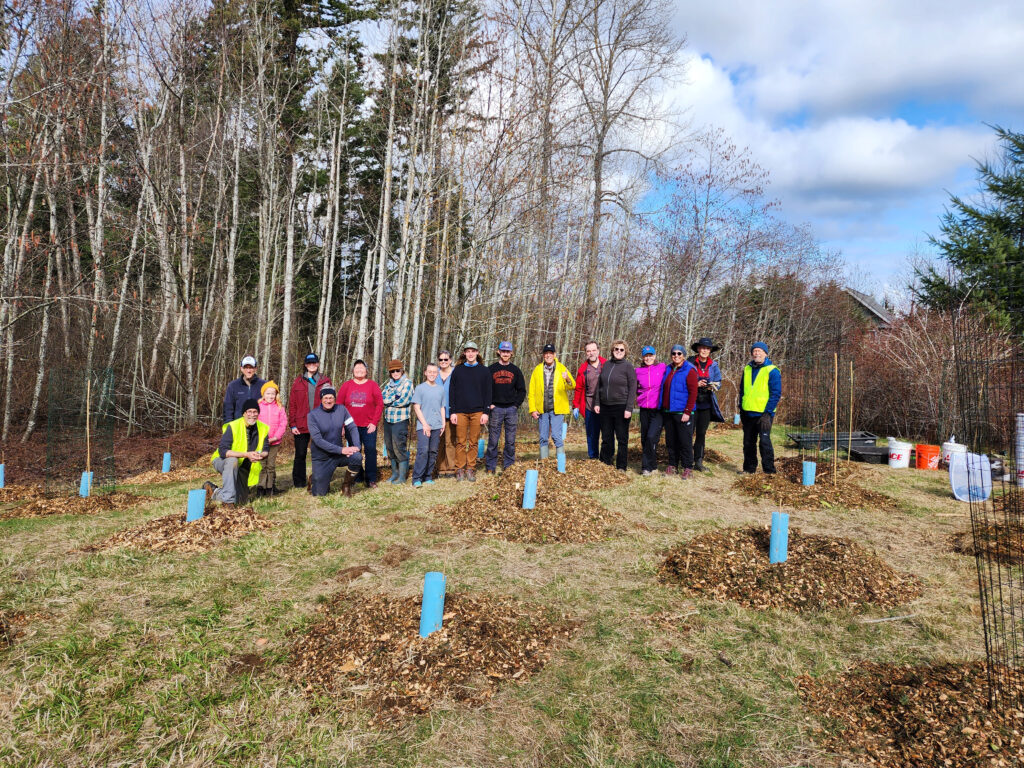 Work Party Volunteering | Whatcom Million Trees Project