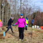 Work Party Volunteering | Whatcom Million Trees Project