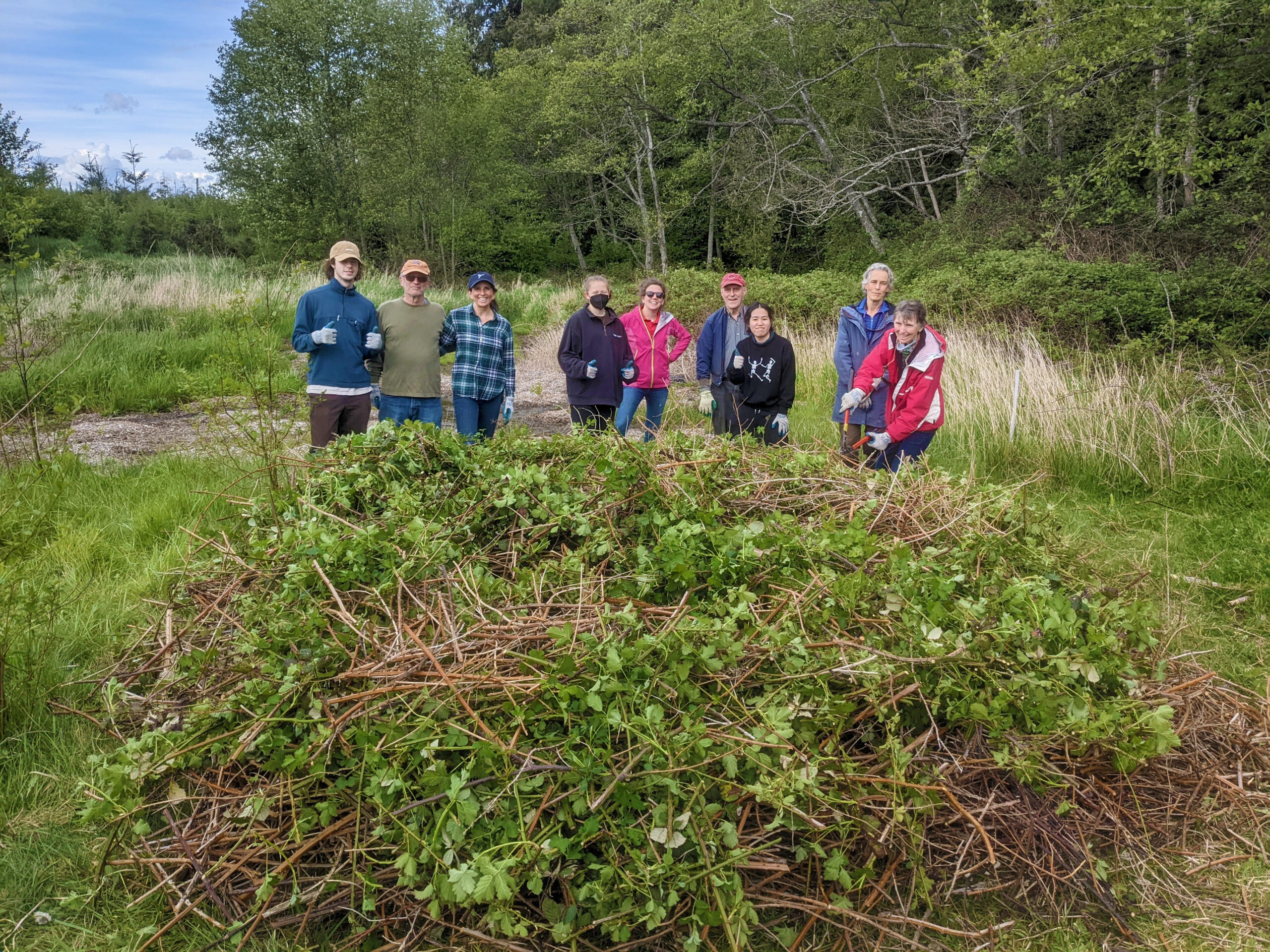 Work Party Volunteering | Whatcom Million Trees Project