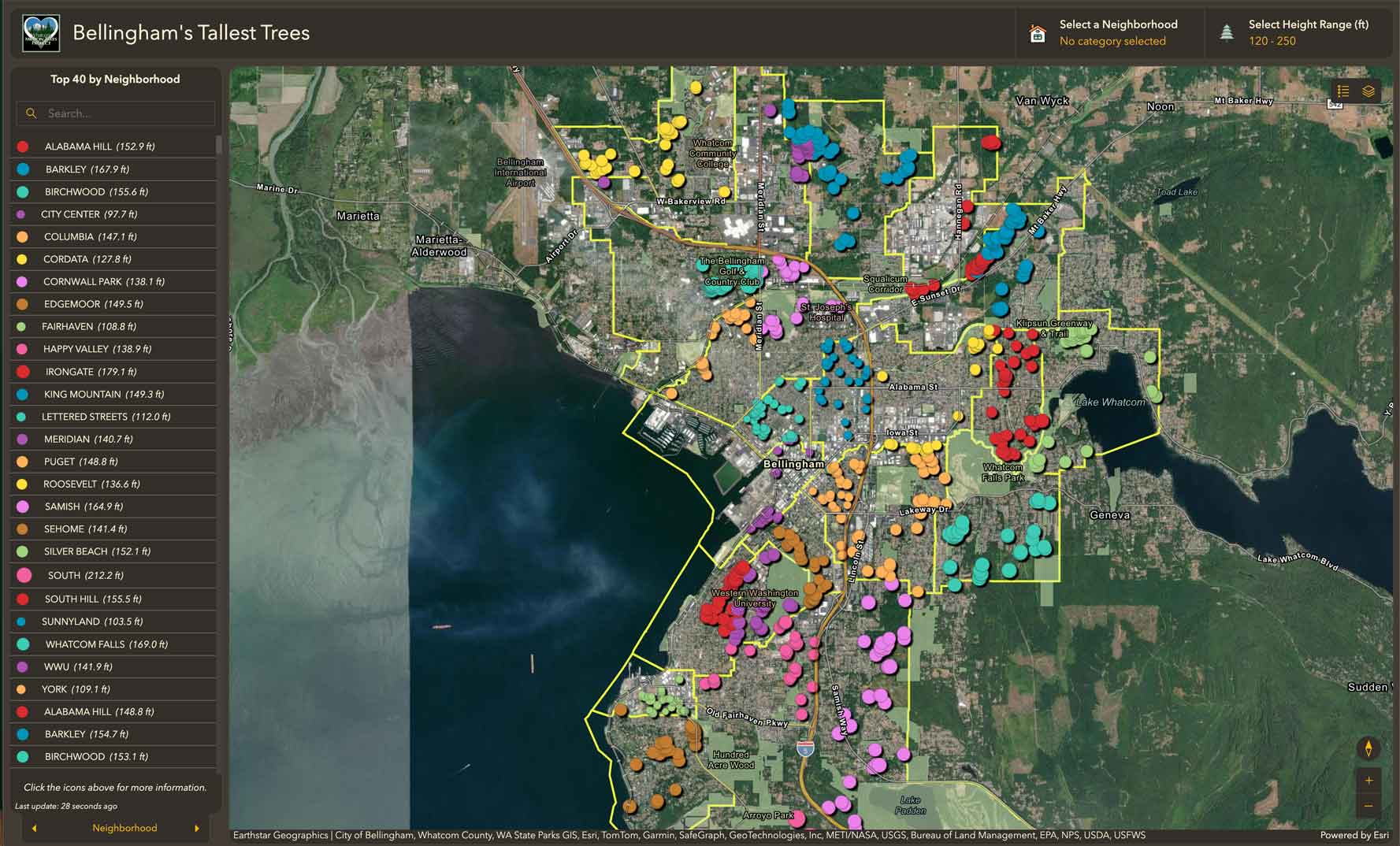 Landmark Trees Protection | Whatcom Million Trees Project