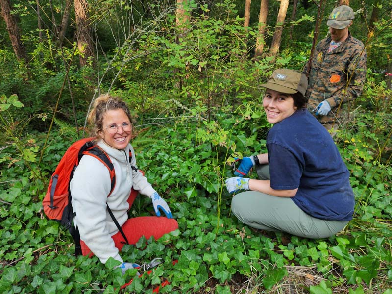 Whatcom Tree Festival
